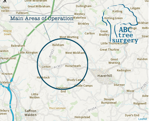 Area Covered - ABC Tree