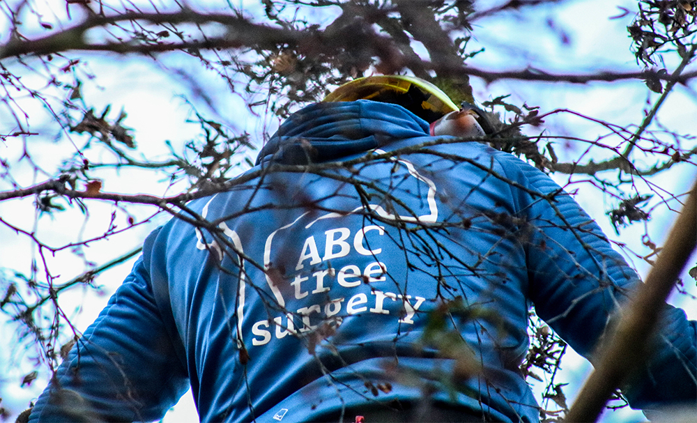 Contact us - ABC Tree